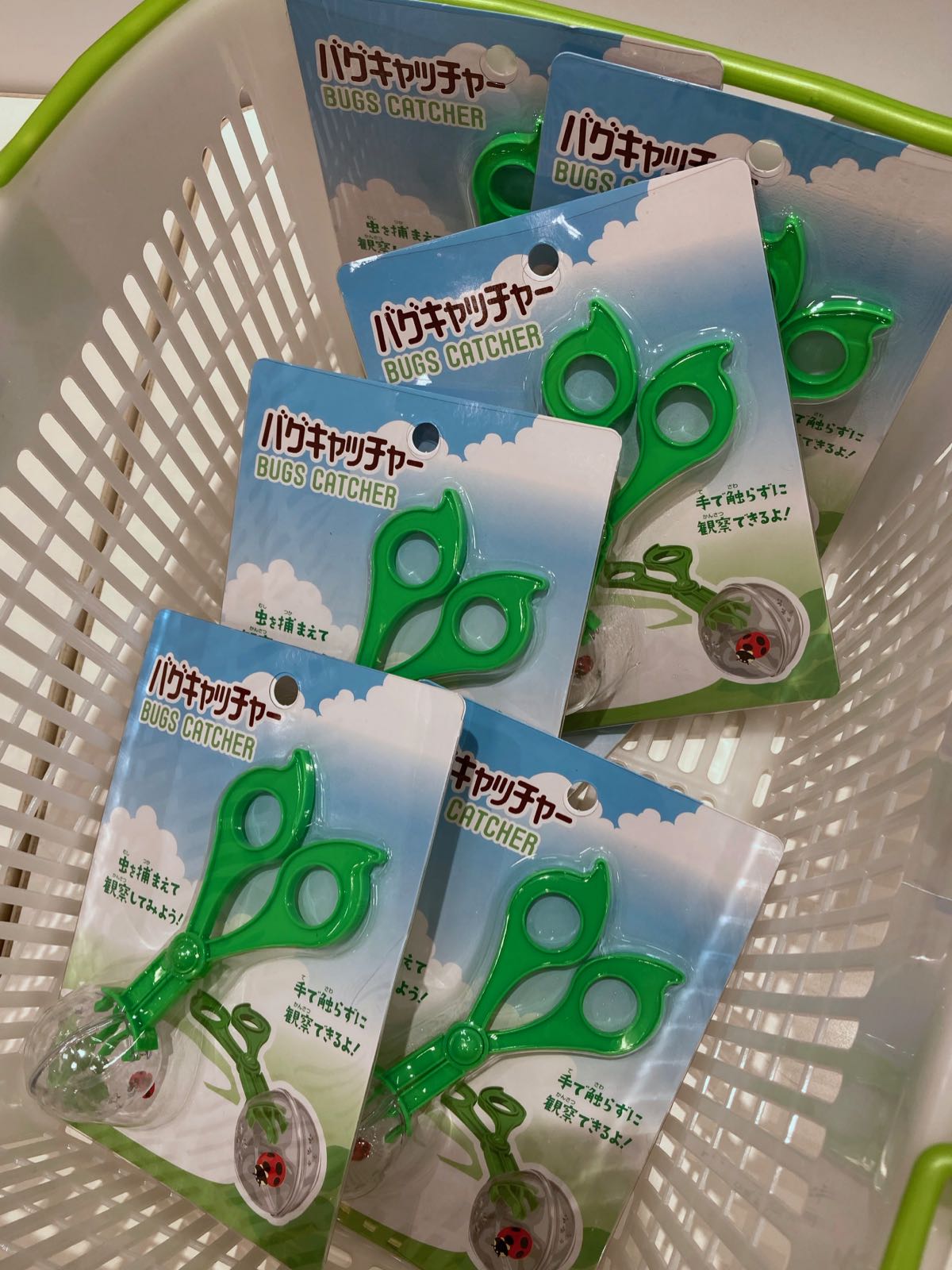虫屋必携の新アイテム「バグキャッチャー」これは便利！ | 佐用町昆虫館オフィシャルブログ